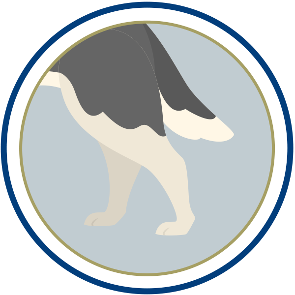 Cleckheaton Golf Club - Hole Tour